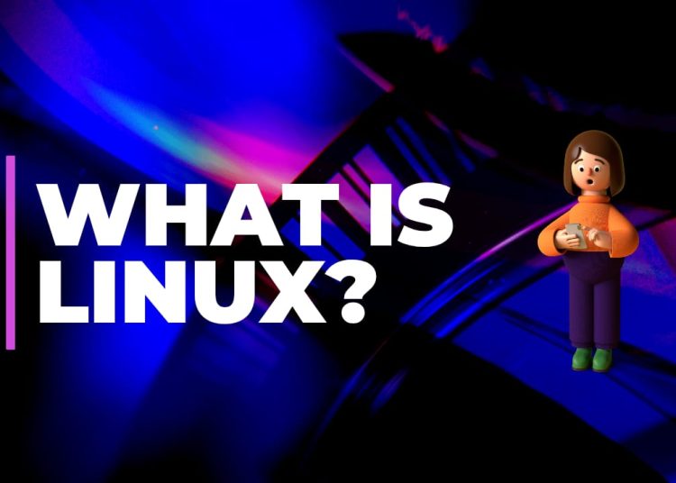 Data Compression Decoded: How to Shrink Files Without Losing Quality ...